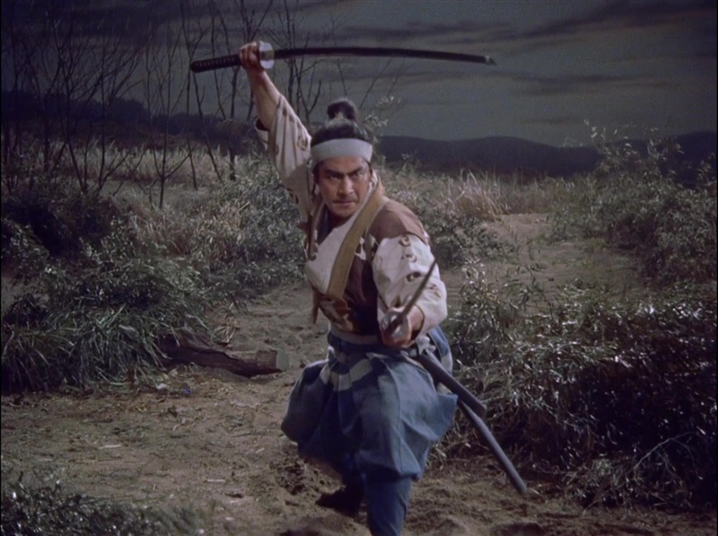 Samurai II: Duel At Ichijoji Temple - The 14 Amazons
